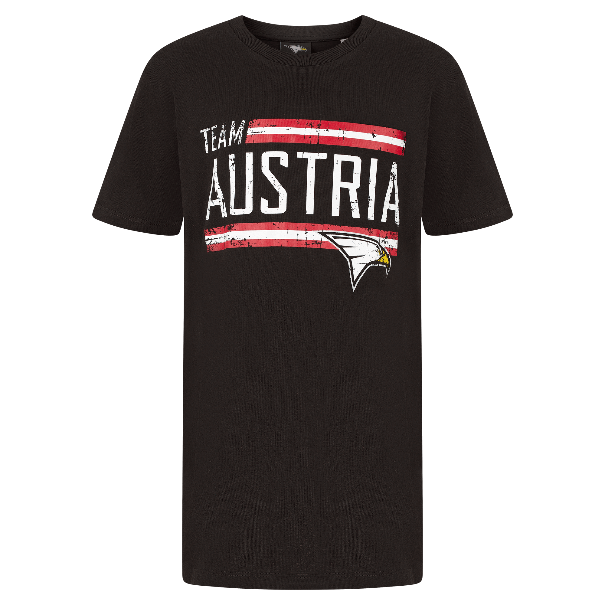 T-Shirt TEAM AUSTRIA JUNIOR | ÖEHV | Team Merchandise | Kids | Warrior ...